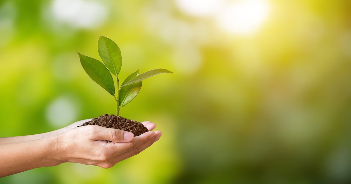 Nation celebrates first National Biobased Products Day