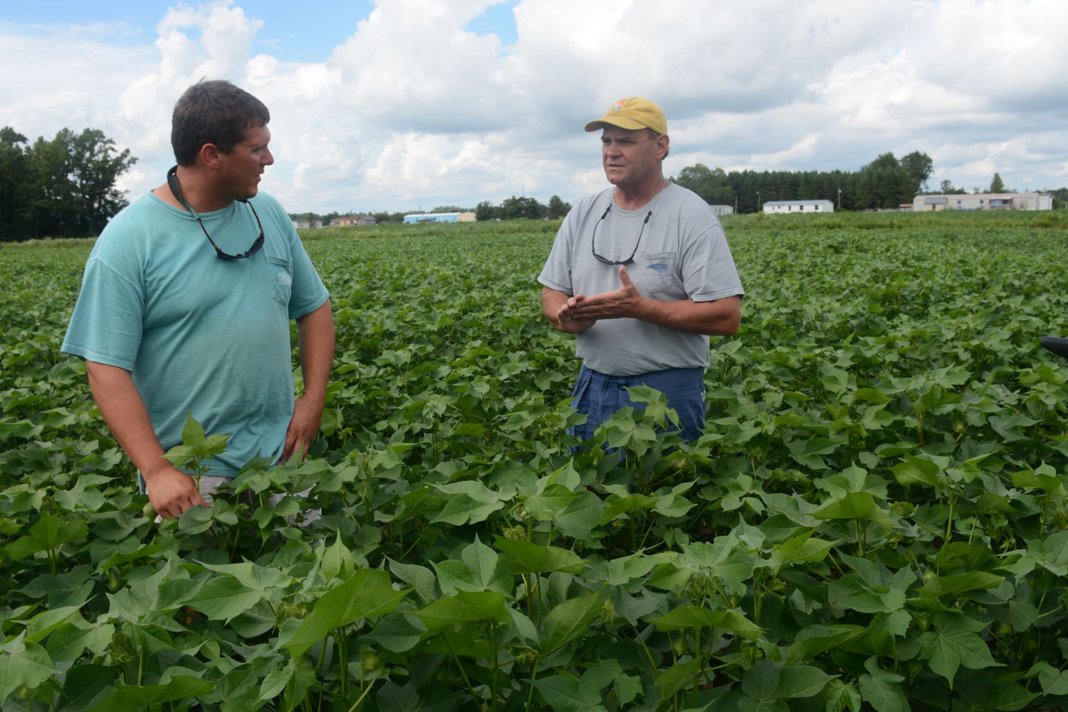 After back-to-back disasters Sugg family hopes cotton makes this year