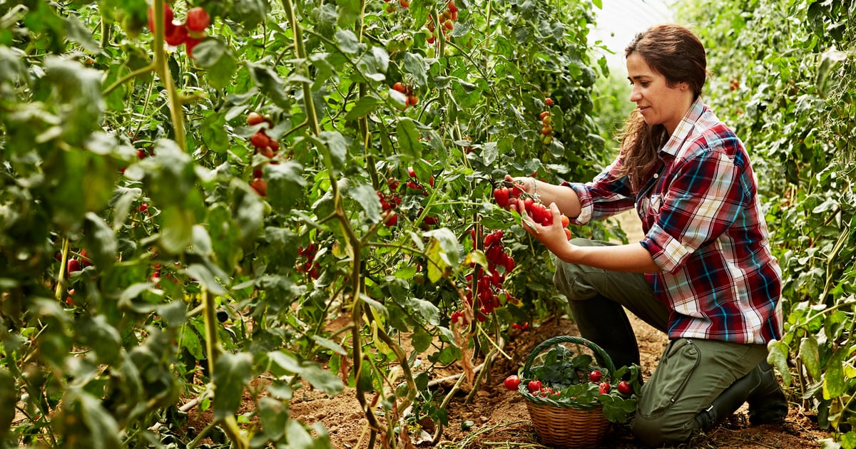 Change coming to specialty farming