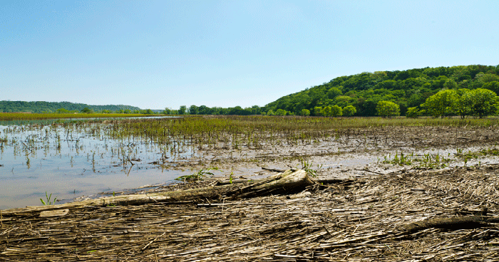 15 Tennessee counties get disaster declaration | Farm Progress