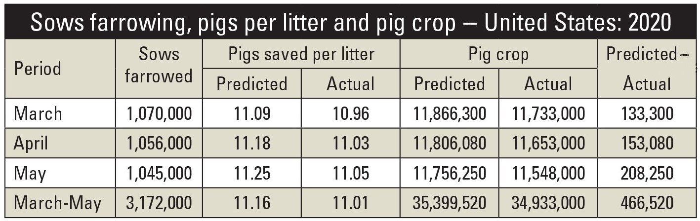 Hog numbers: What counts, what doesn't for USDA?