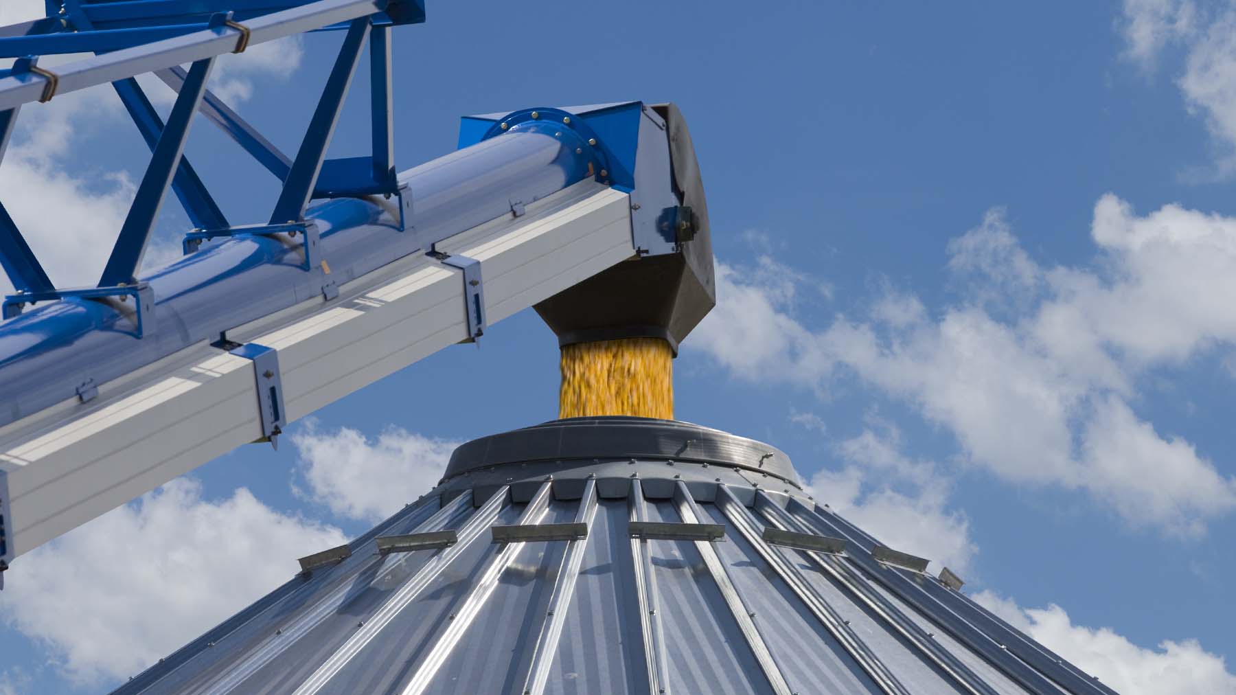 Cash Grain Bids recent news | Farm Progress