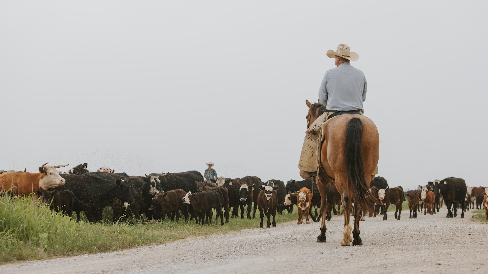 Legacy and Determination at Stuart Ranch