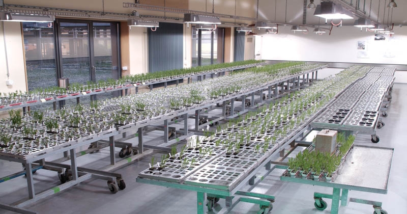 A profile of Syngenta: Expansion of its core business and more | Farm ...