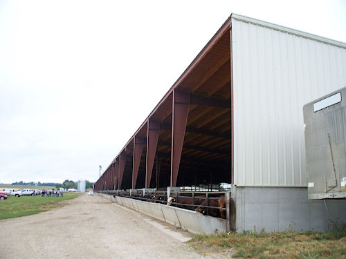 Cattle Finish Faster In S.D. Monoslope Barn