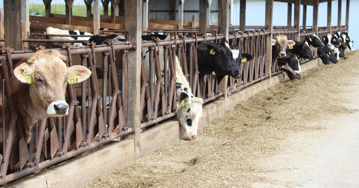 Specialty milk helps family dairy grow | Farm Progress