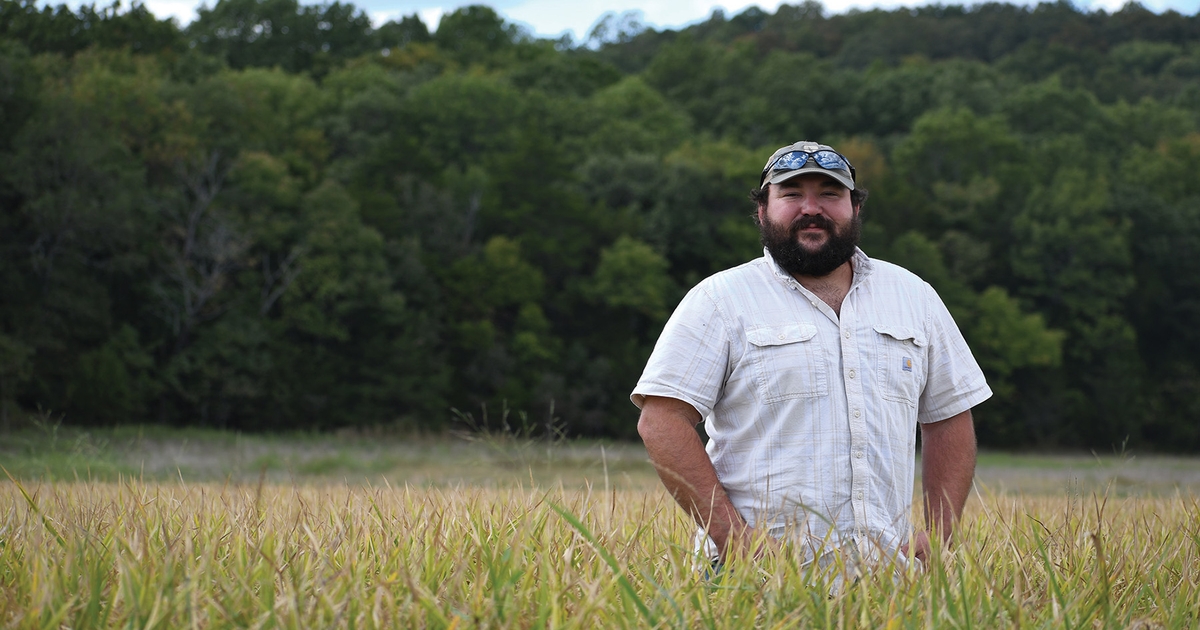 Arkansas farmer succeeds with cover crops