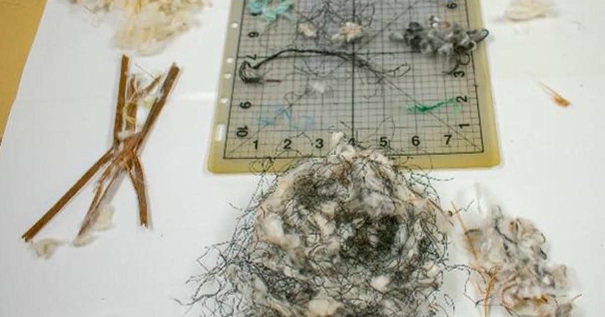 Plastic contamination increases in 2019; Norman says prevention is key