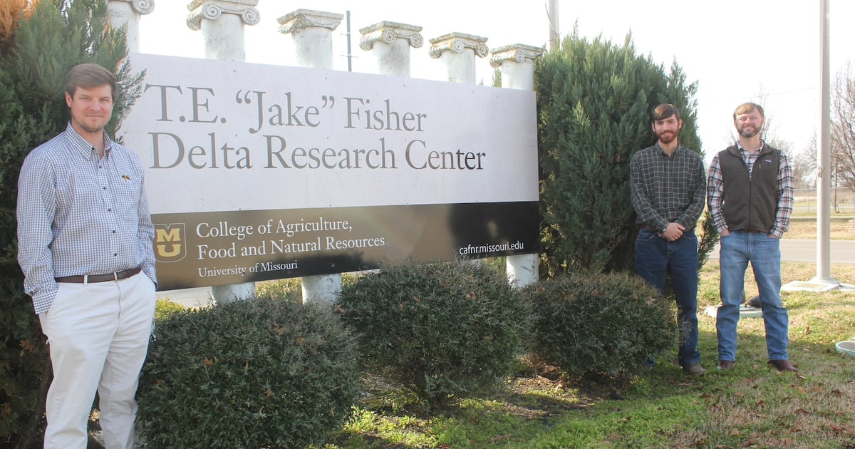 New crops podcast for the Missouri Bootheel