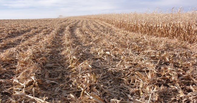 Reducing management challenges with partial corn stover removal | Farm ...