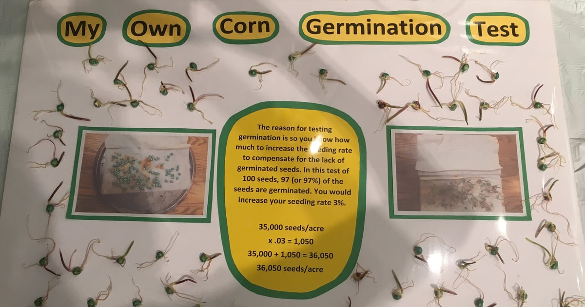 Corn germination test helps fine-tune seeding rate