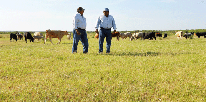 Farmer raises family on 10-acre Texas farm | Farm Progress