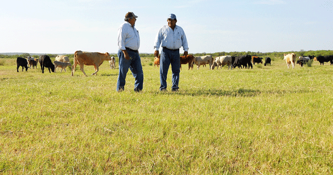 Farmer raises family on 10-acre Texas farm | Farm Progress