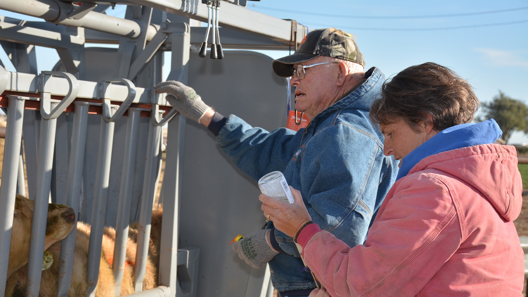 Tax refund, mentor ignite cattle career