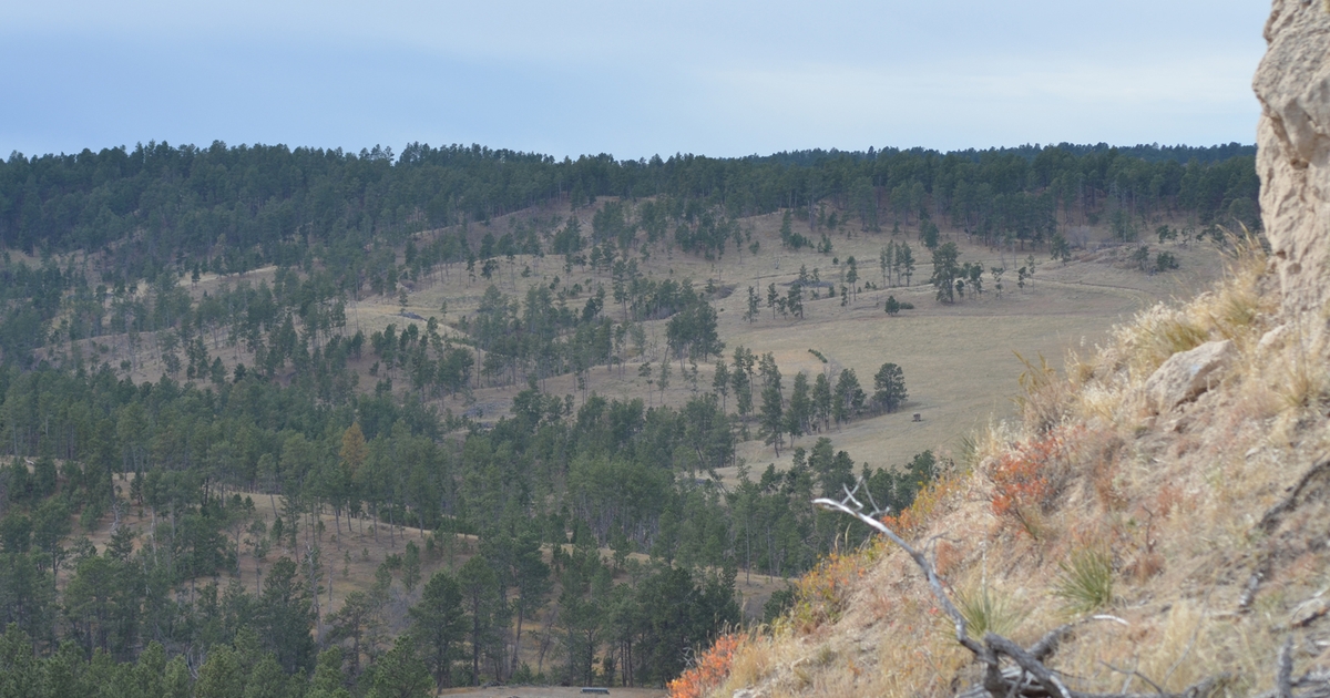 Pine Ridge visit full of surprises