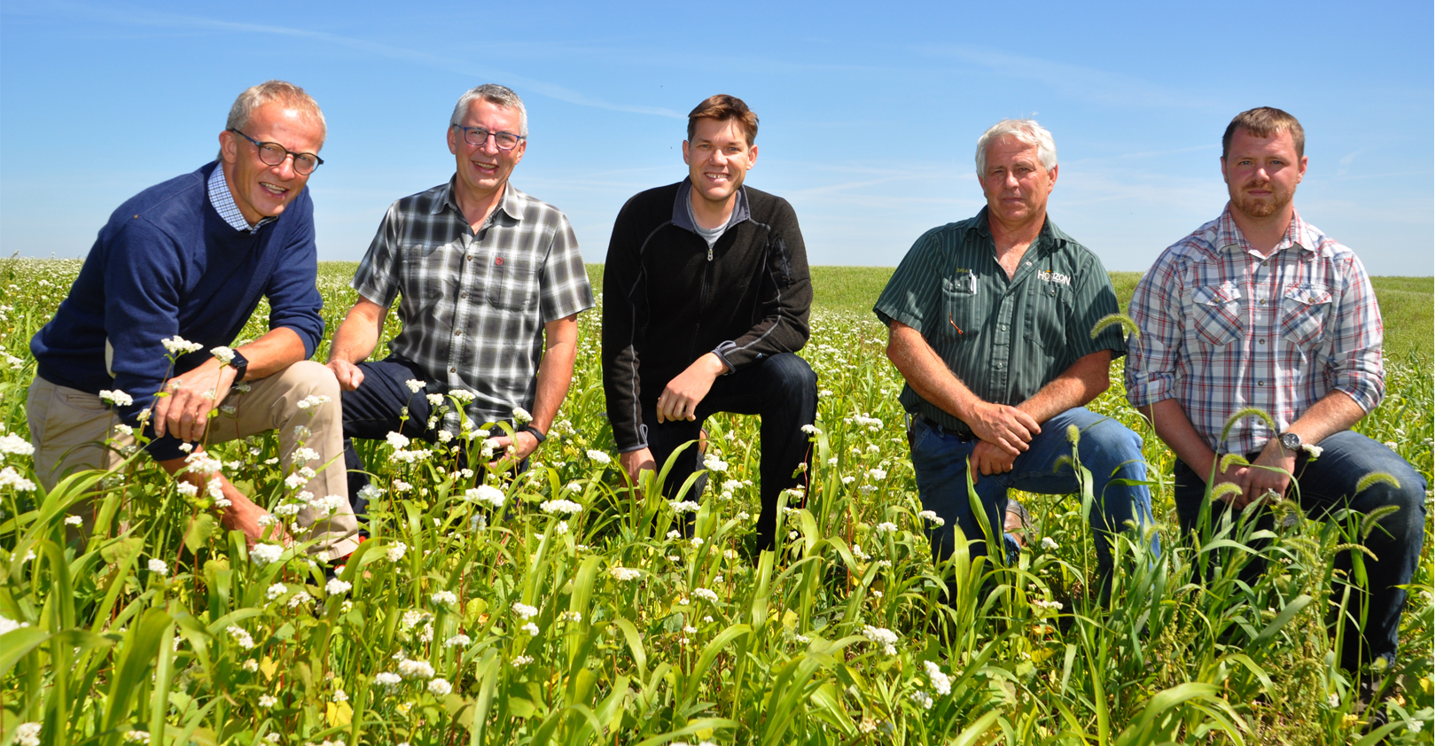 3rd crop touted for Iowa | Farm Progress