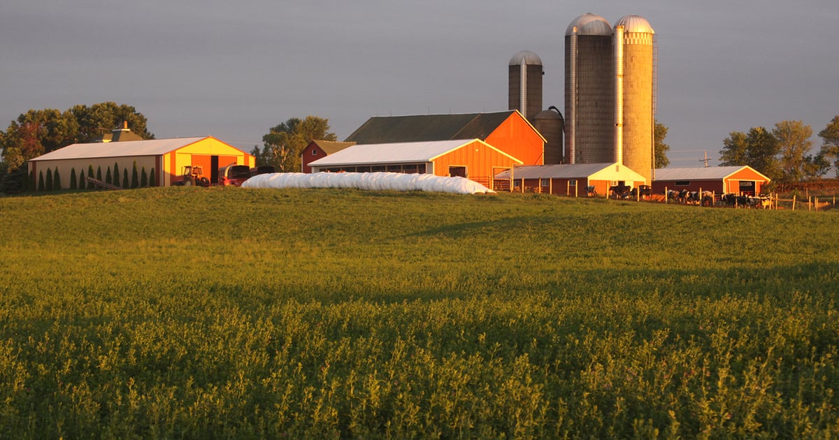 Expanding a farm can be exciting but tough