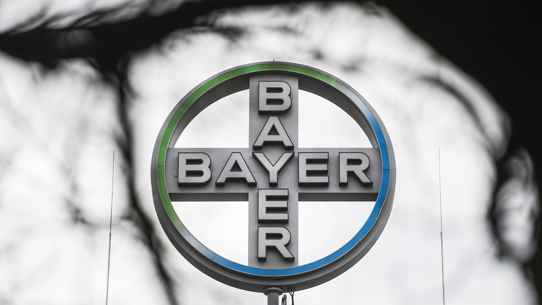 No news on Bayer plans for ag division