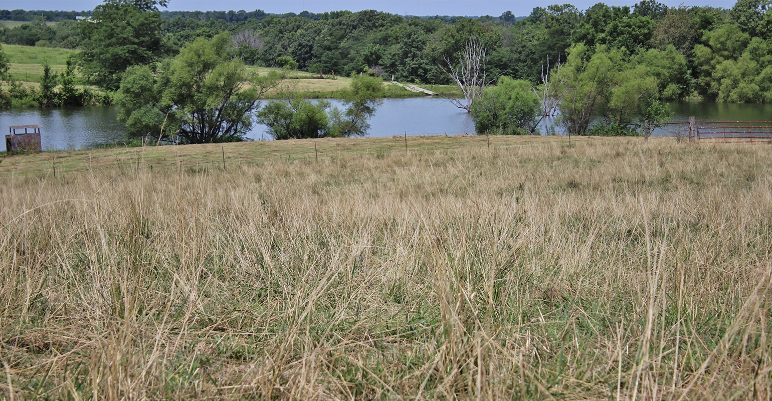 Conservation efforts could win Missouri farmers $10,000
