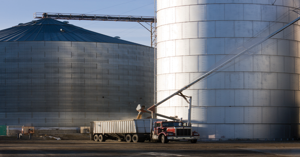 CHS to use Enogen corn from Syngenta at its Rochelle, Illinois, bio-re