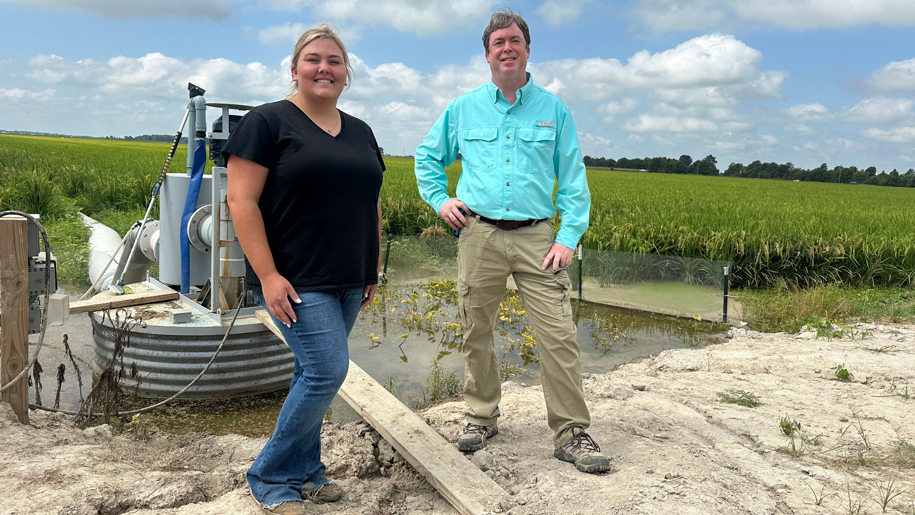 Tailwater recovery system delivers gold standard in furrow-irrigated rice