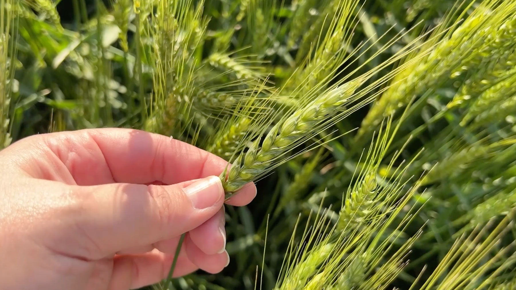 Magazines | Farm Progress