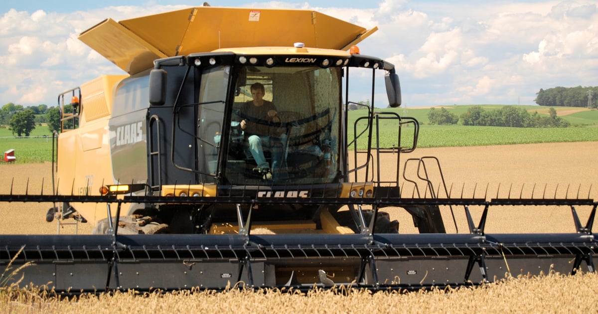 What to do with your old-crop bushels