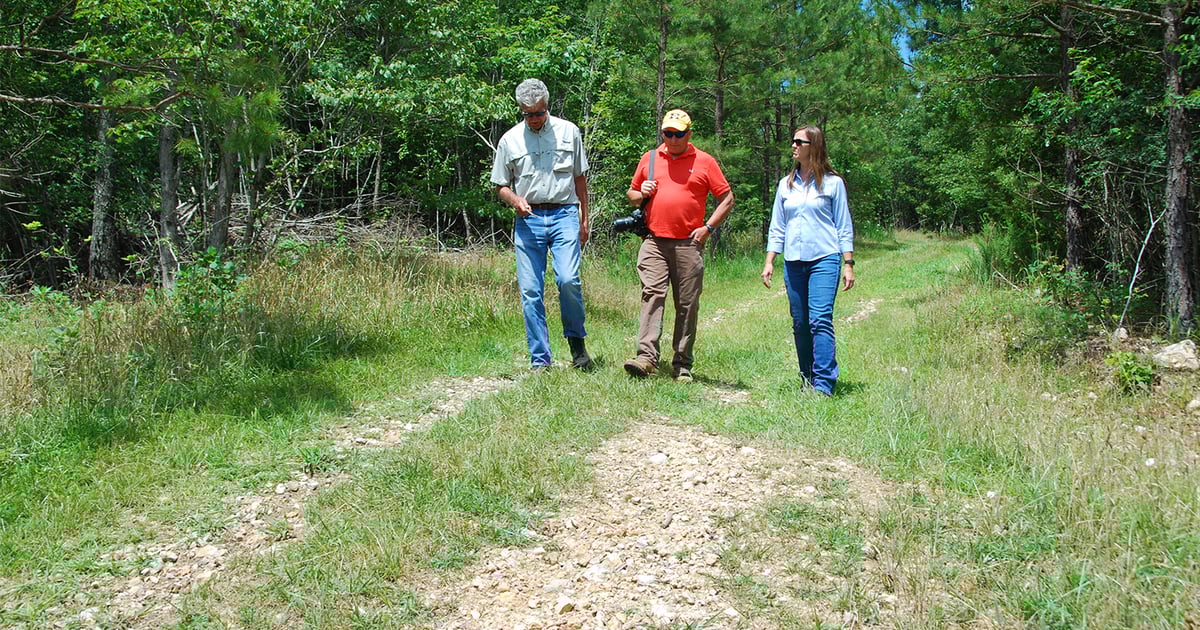 Prevent trail erosion by installing dips
