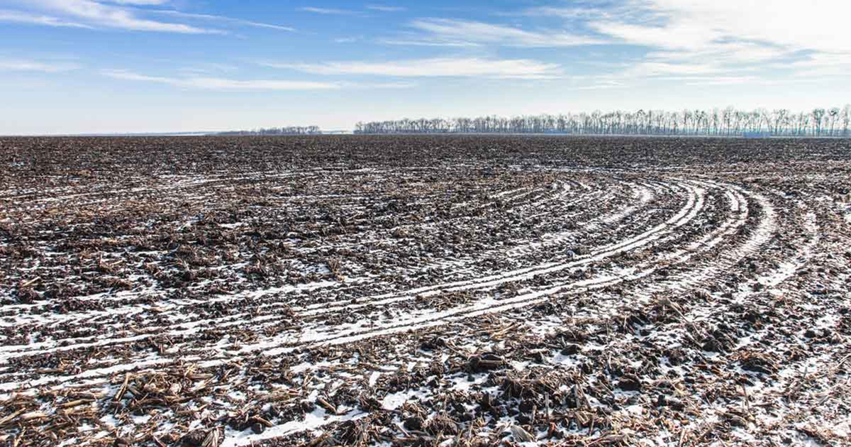 Biological activity in soil Is key for today’s high-yielding crops