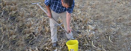 5 keys to a successful soil sample