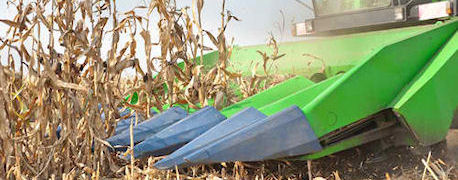 Korea Approves Agrisure Viptera 3110 and 3220 Trait Stacks for Import