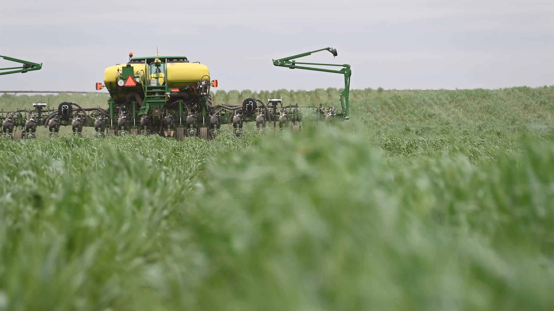 5 things you may not know about carbon farming