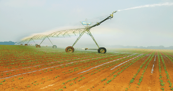 Weather sets record, not Georgia row crops | Farm Progress