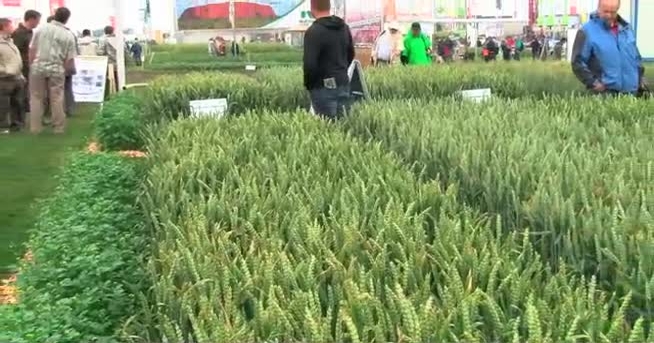 German farm group DLG holds field day for crop professionals and public ...