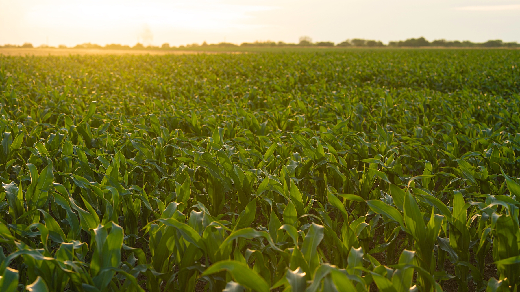 Where are the best places to farm in U.S.?