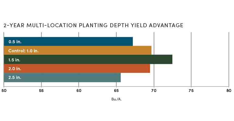 The importance of proper planting depth
