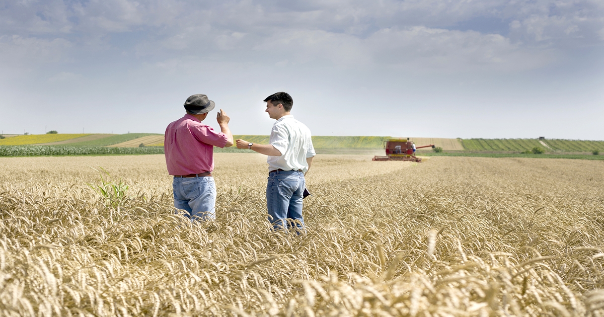 Is an LLC right for your farm?