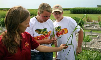 2016 crop scouting competition for Iowa youth