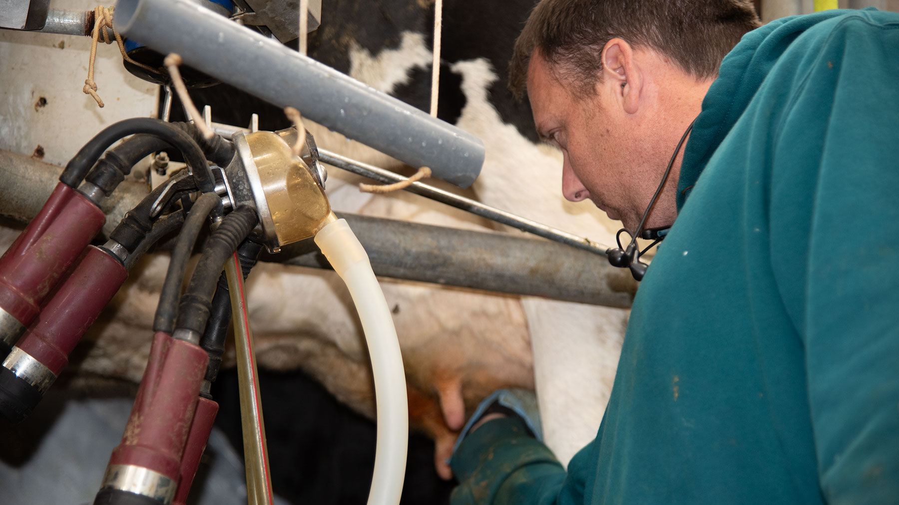 Missouri dairy farmers modernize operation to overcome labor issues