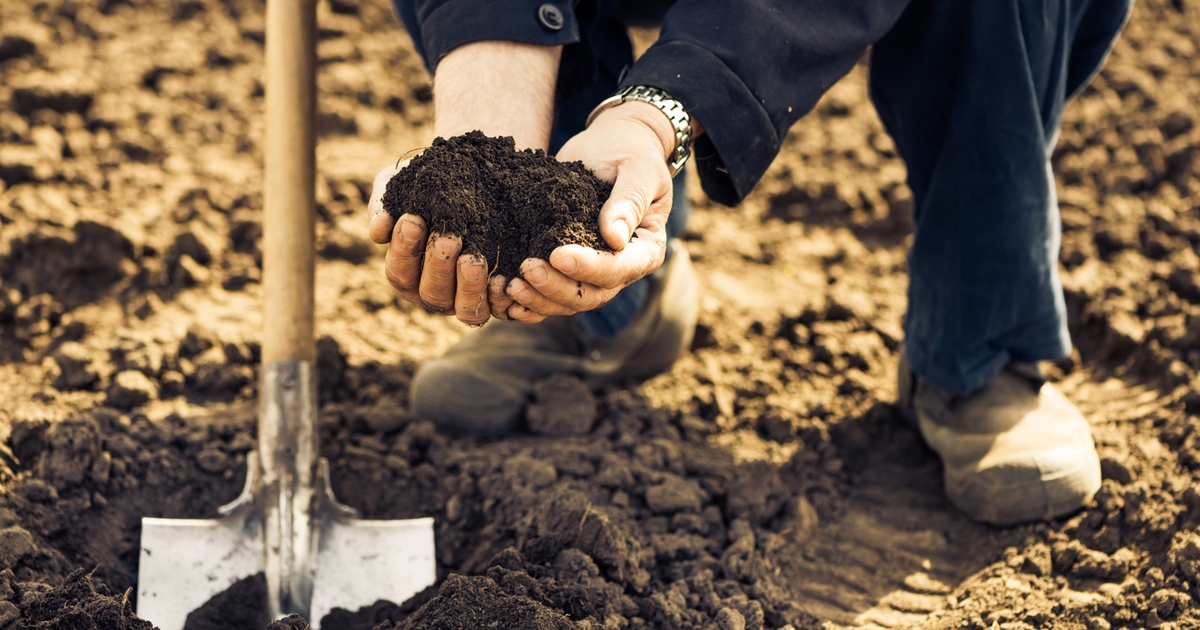 Managing soil compaction through a wet, delayed harvest