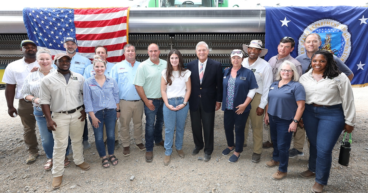 Representing Rice in 2023