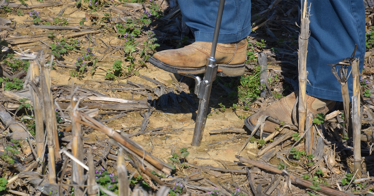 Why soil pH matters most for crop production