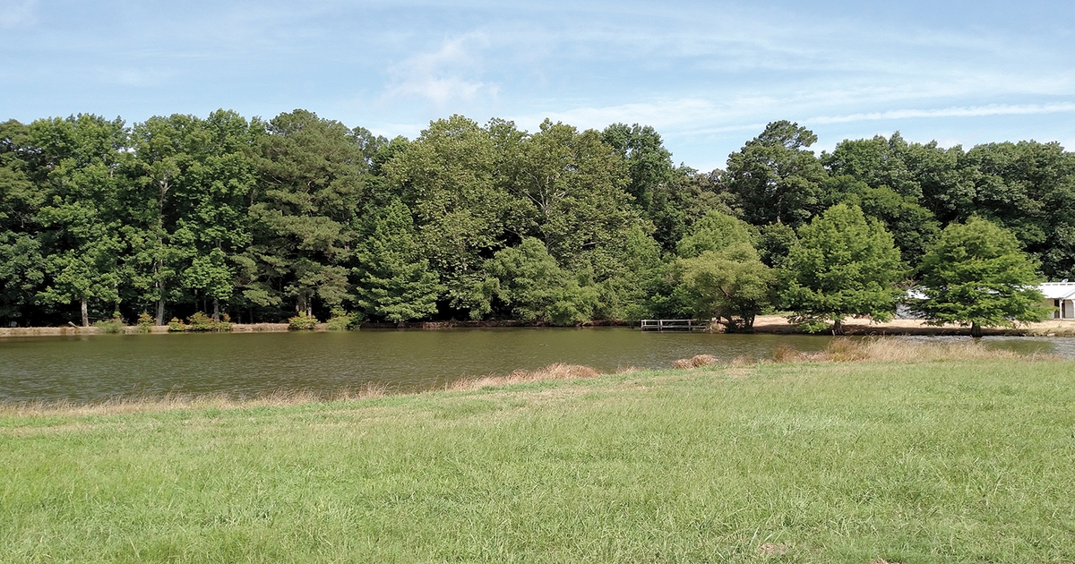 How to manage successful recreational ponds