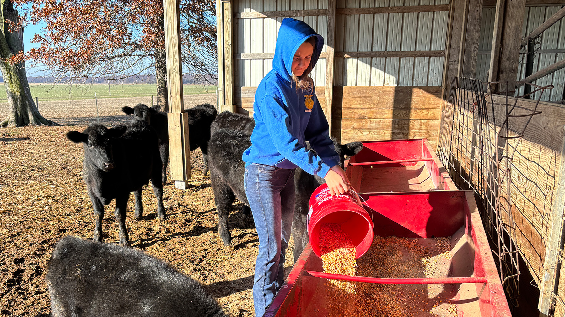 Connectivity holds key to AI adoption on U.S. farms