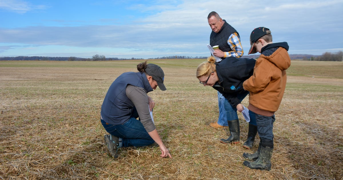 Legumes after double-crop beans show promise