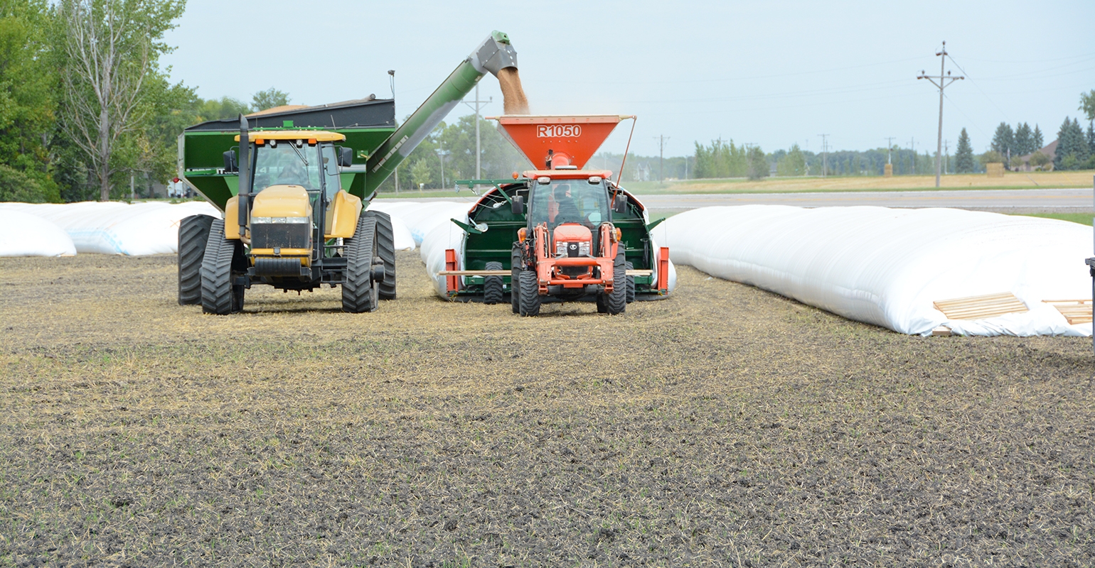 Top things to know about storing grain in buildings, bags, piles