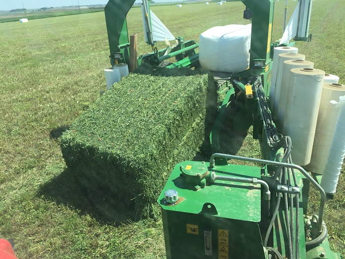 Is the new baleage technology a game changer for silage?