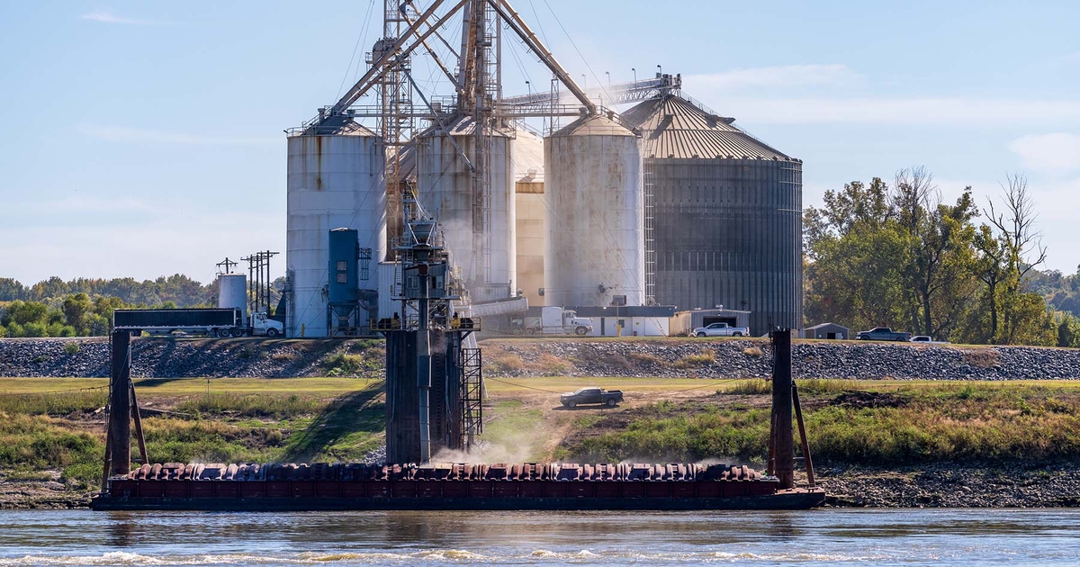 Grain export inspections: Corn leads, soybeans struggle without China