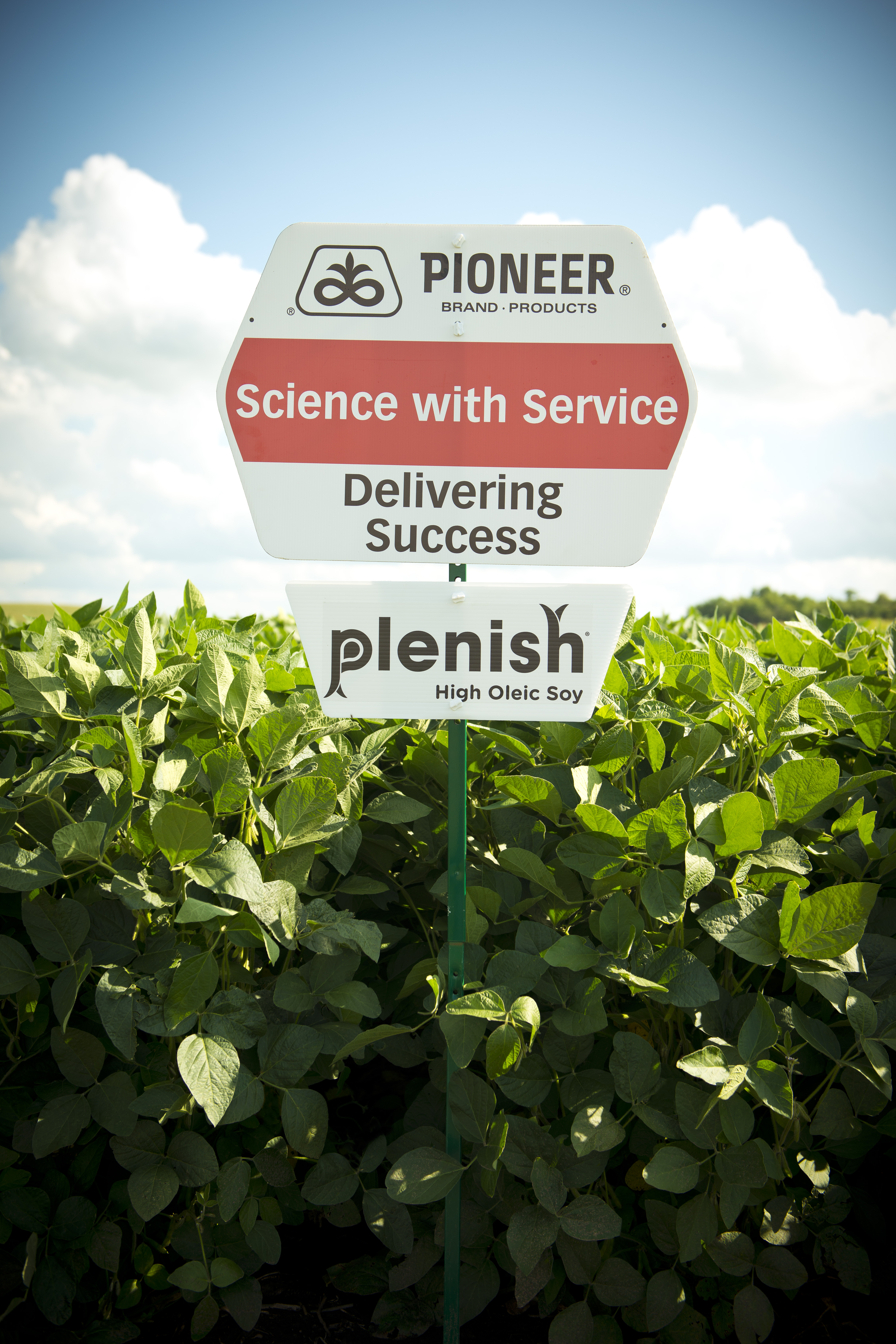 DuPont Pioneer announces the roll-out of Pioneer Brand Plenish high o