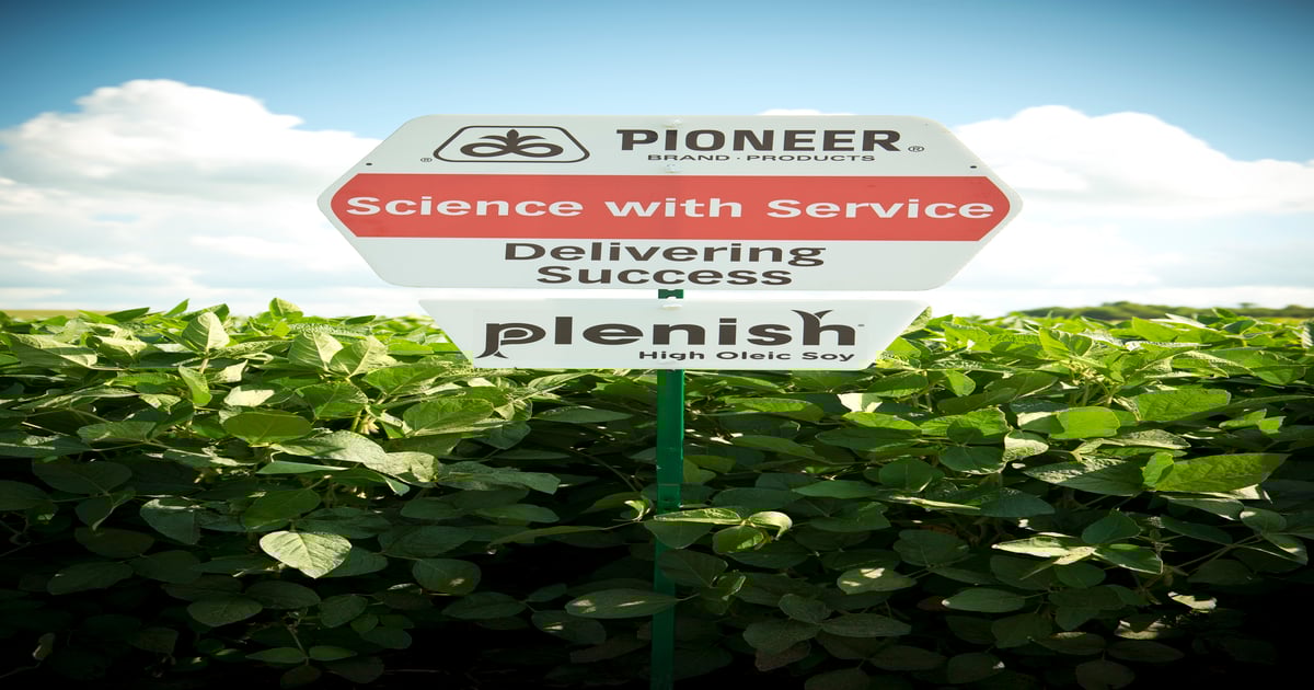 DuPont Pioneer announces the roll-out of Pioneer Brand Plenish high o